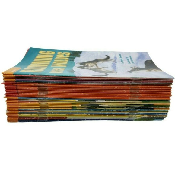 Other | Lot Of 4 Mcgrawhill Treasures Leveled Reader Library Books ...